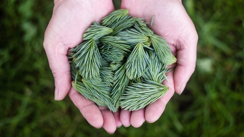 14 Kinds of Evergreen Video Content You Should Make Today | SproutVideo