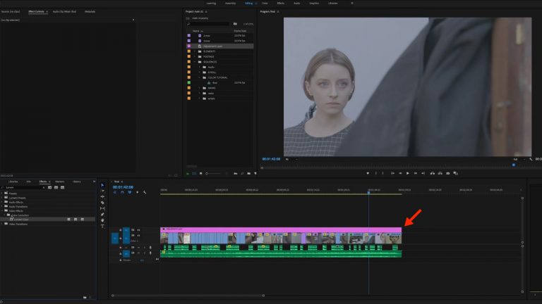 Color Grading Fundamentals in Adobe Premiere Pro | SproutVideo