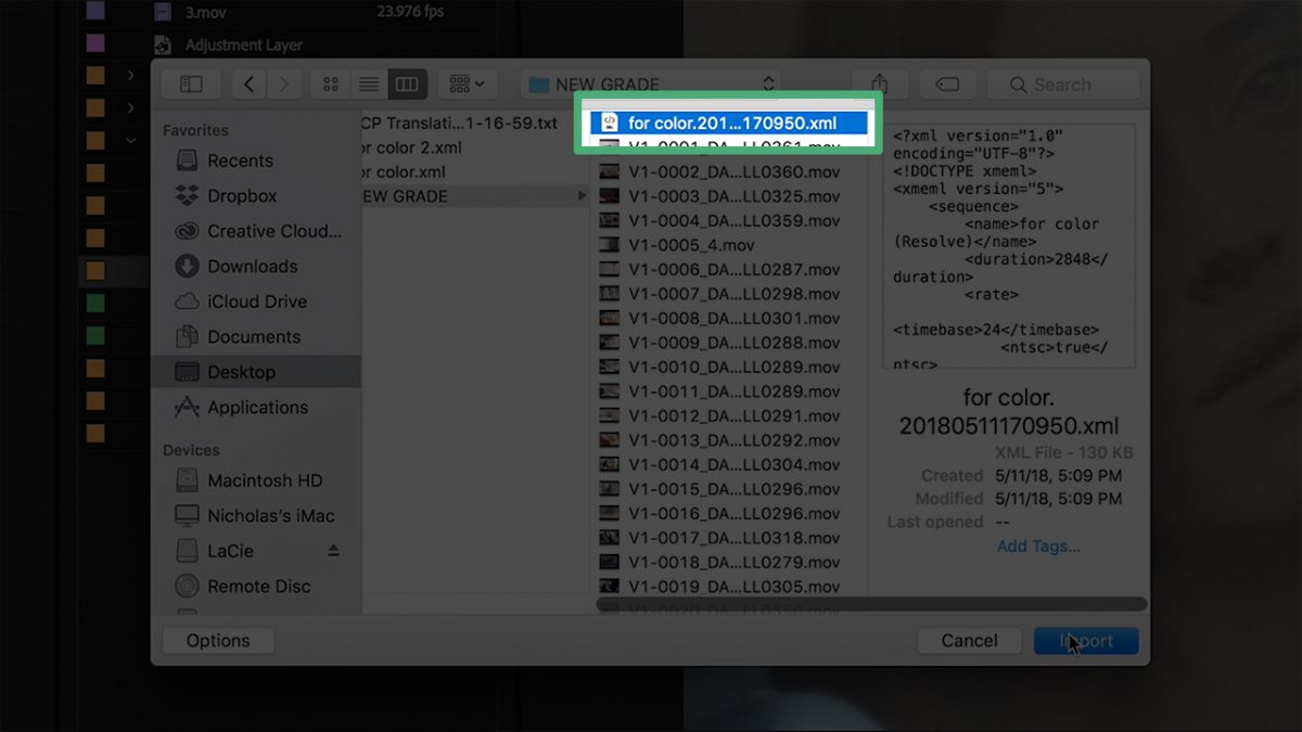 Optimize Your DaVinci and Adobe Premiere Workflow | SproutVideo