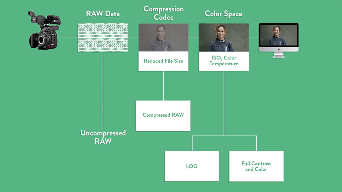 Clearing up Codecs: Raw, Log, and Compression Demystified | SproutVideo