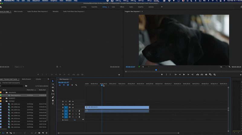 Video Editing Basics with Adobe Premiere Pro | SproutVideo